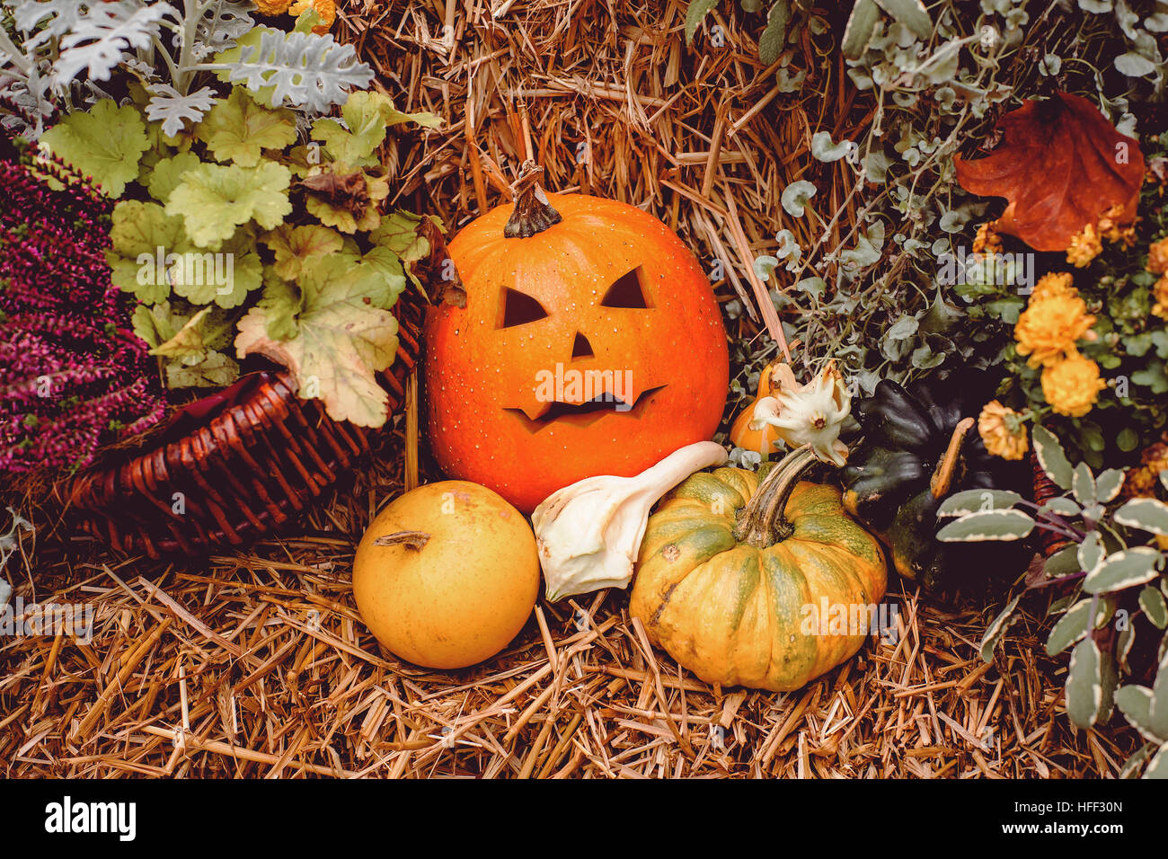 O shapes in nature hi-res stock photography and images - Alamy