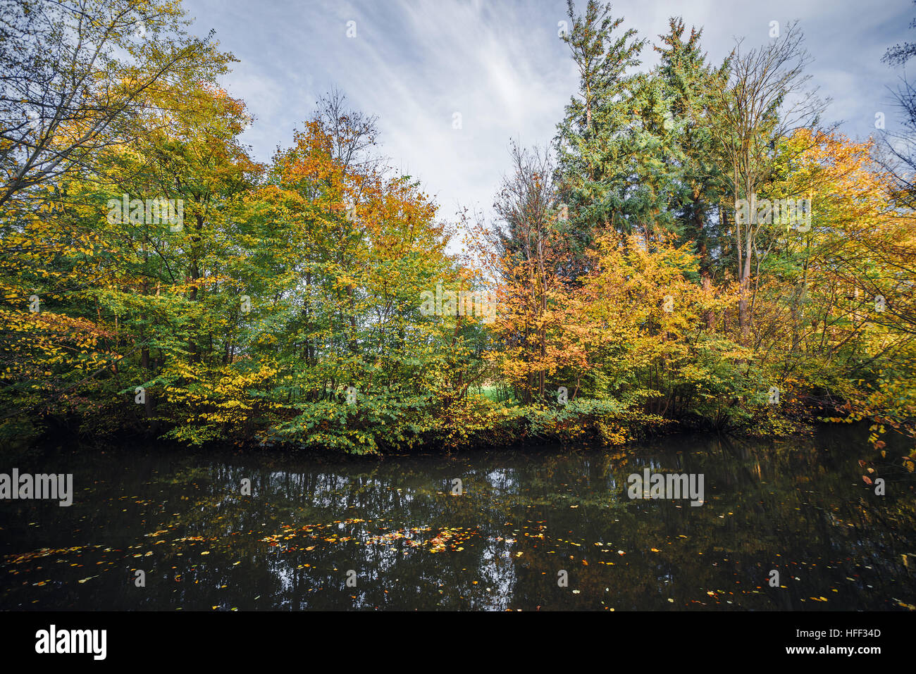 Autumn landscape with colorful trees in the fall by a dark river with ...