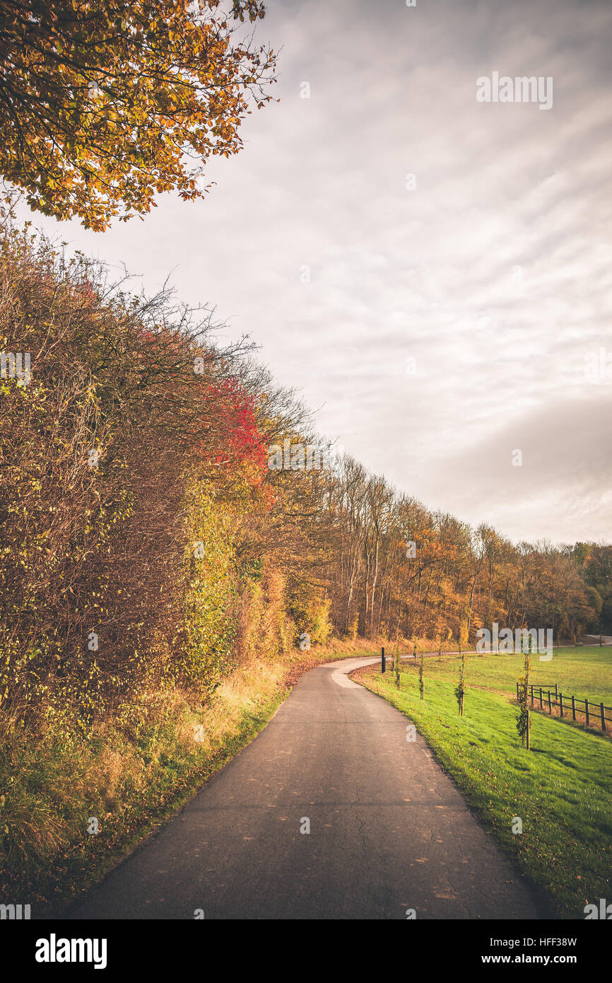 Countryside road passing through a rural environment in the fall with ...