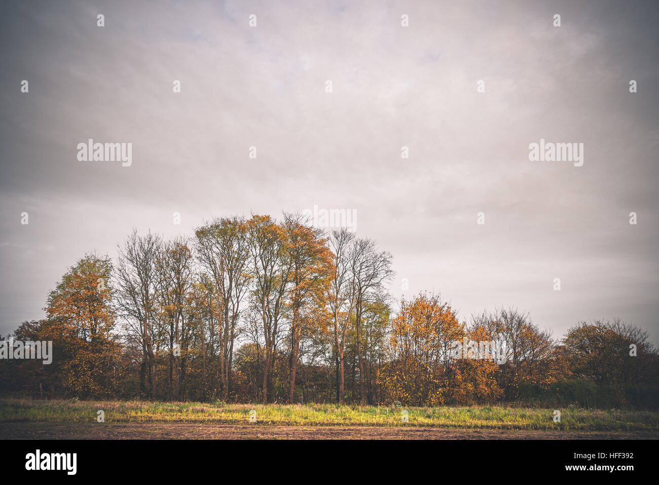 Colorful trees in autumn colors in a countryside landscape in autumn ...