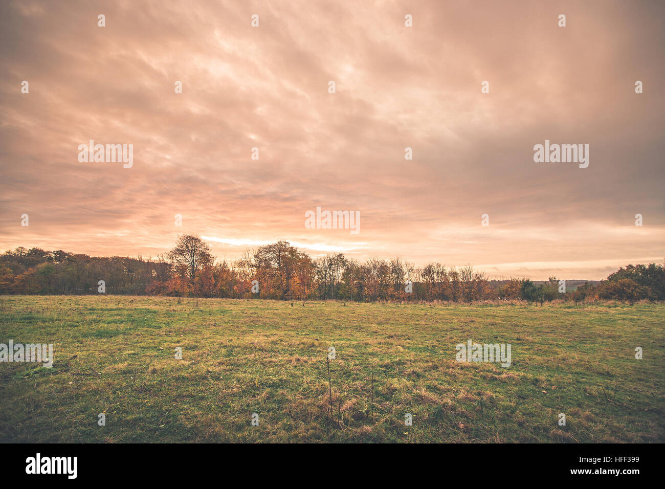 Sunset scenery in a countryside landscape with trees on a field and ...