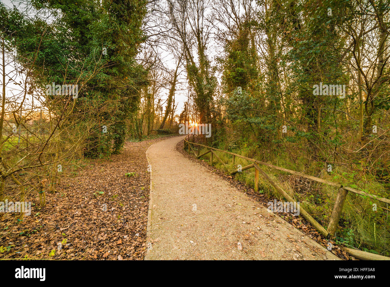 path in the park at sunset in winter Stock Photo - Alamy