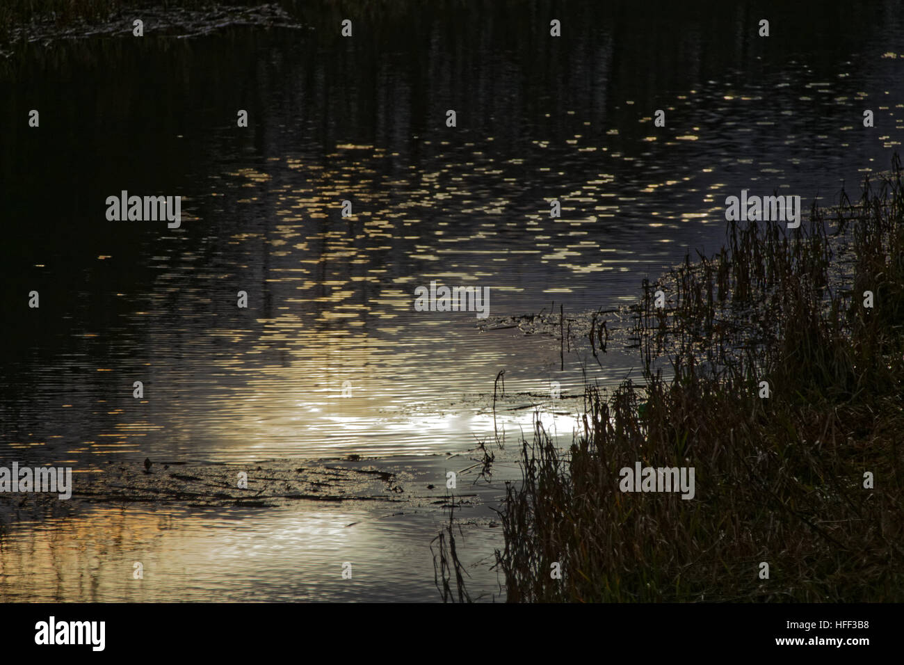 Light reflections on water ripples hi-res stock photography and images ...