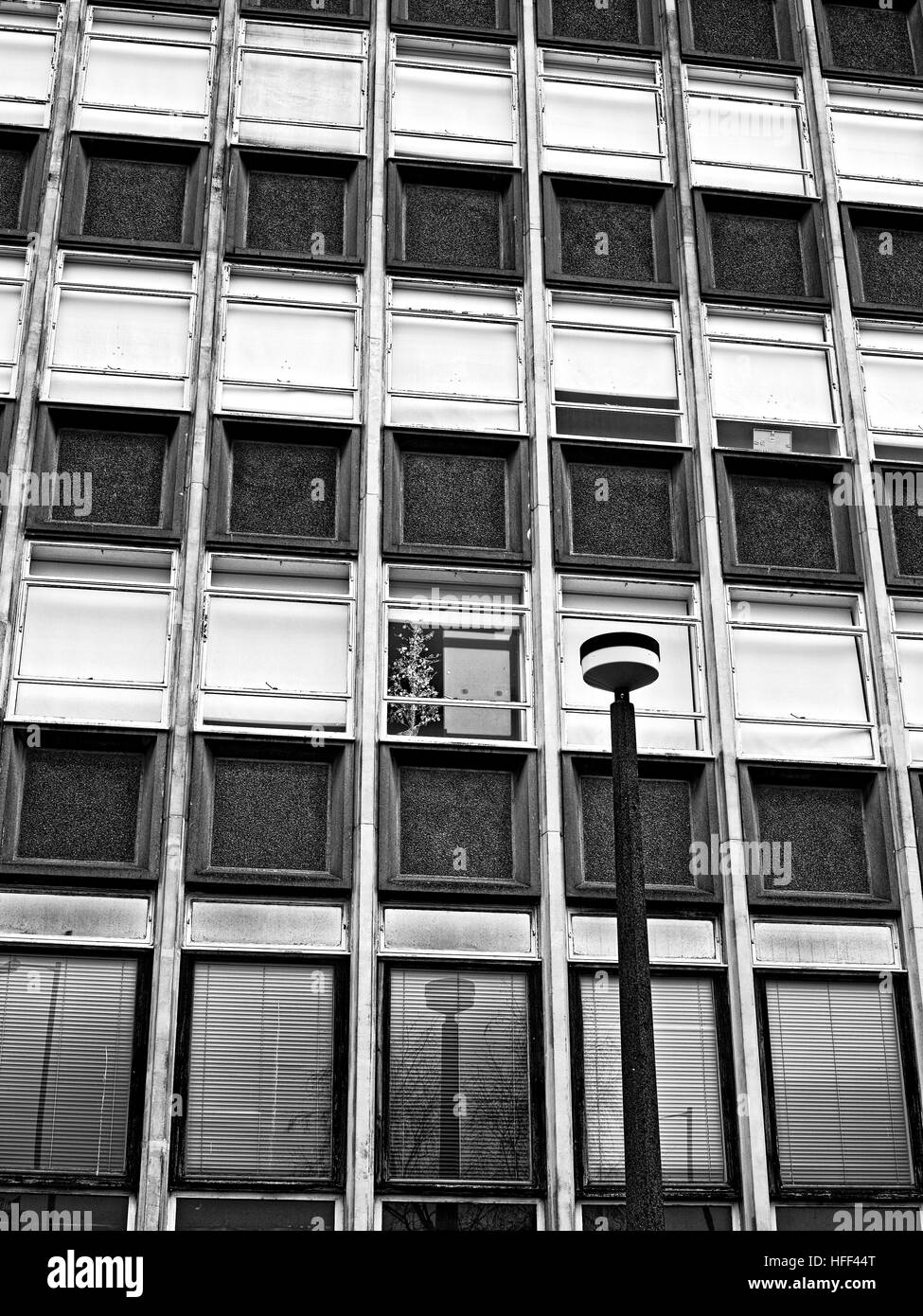 Office tree Black and White Stock Photos & Images - Alamy