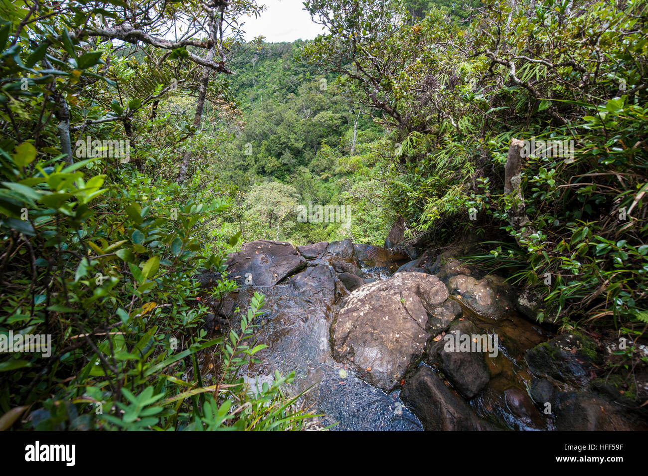 Alexandra Falls, a part of the Black River Gorges, Mauritius Stock ...