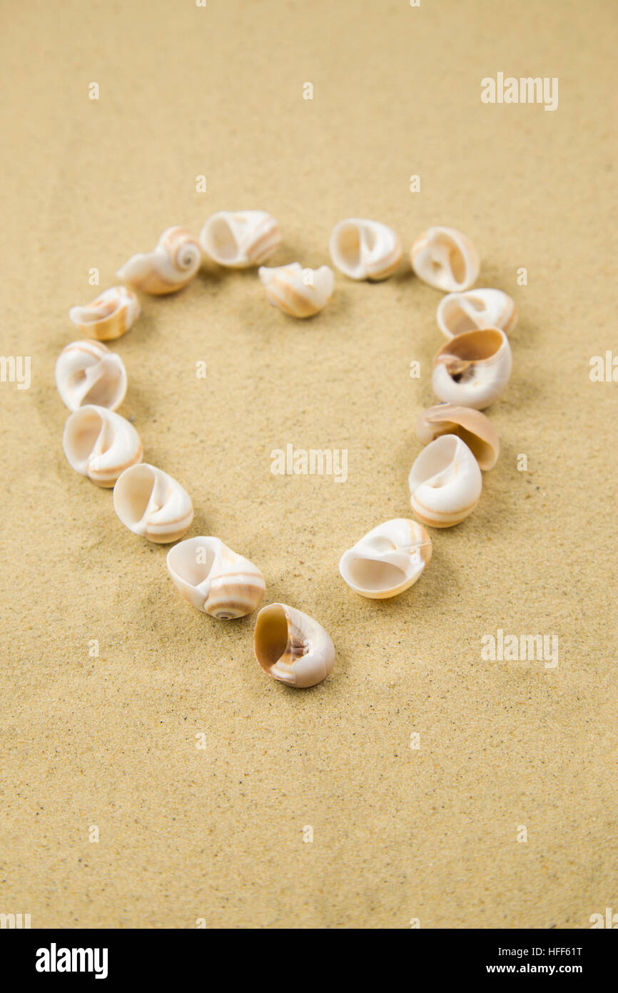 Heart made shells on beach hi-res stock photography and images - Alamy