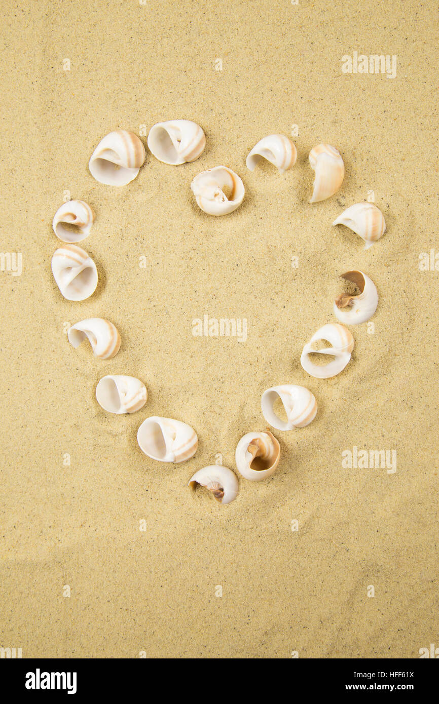 Heart made shells on beach hi-res stock photography and images - Alamy