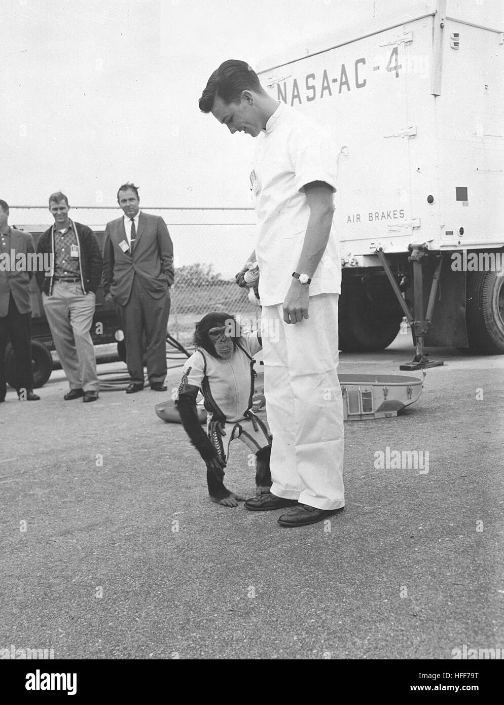 Ham, the first chimpanzee astronaut, is shown in his space capsule ...