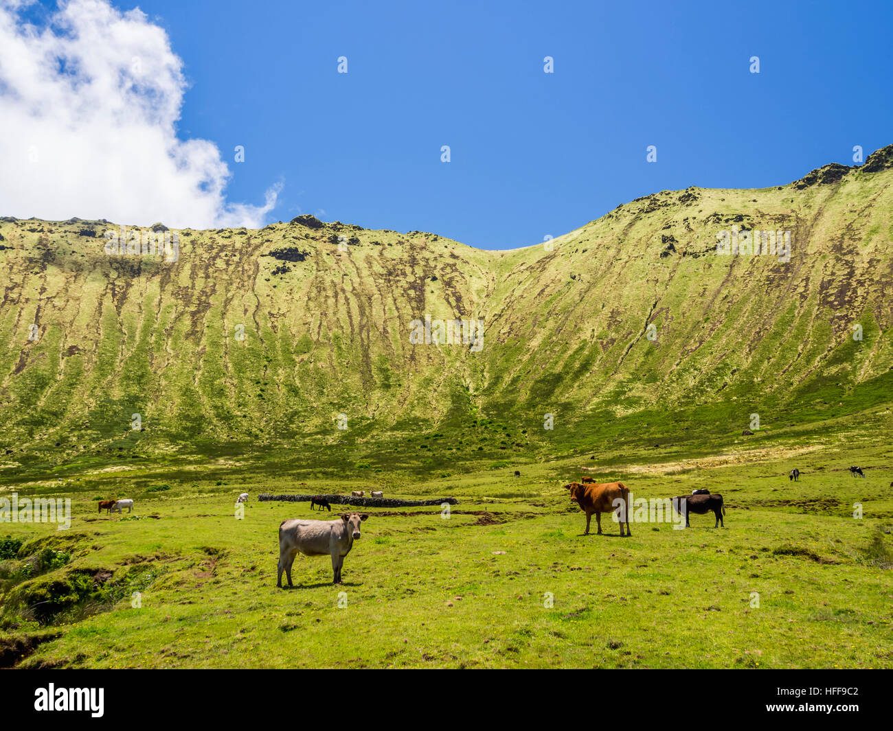 Portugal, Azores, Corvo, Landscape of the Caldeirao do Corvo Stock ...