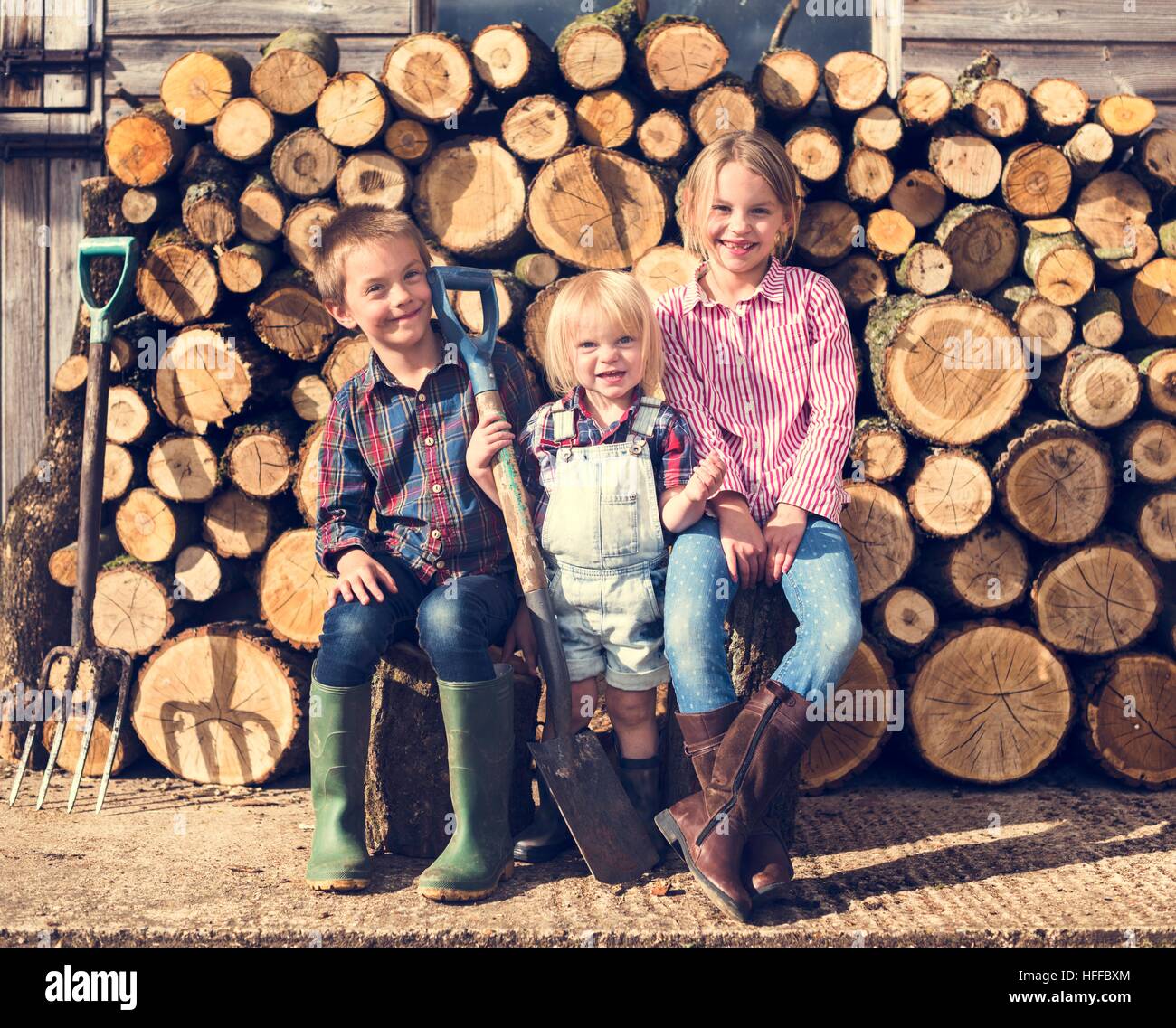 Firewood Fuelwood Lumber Timber Lumber Log Concept Stock Photo - Alamy