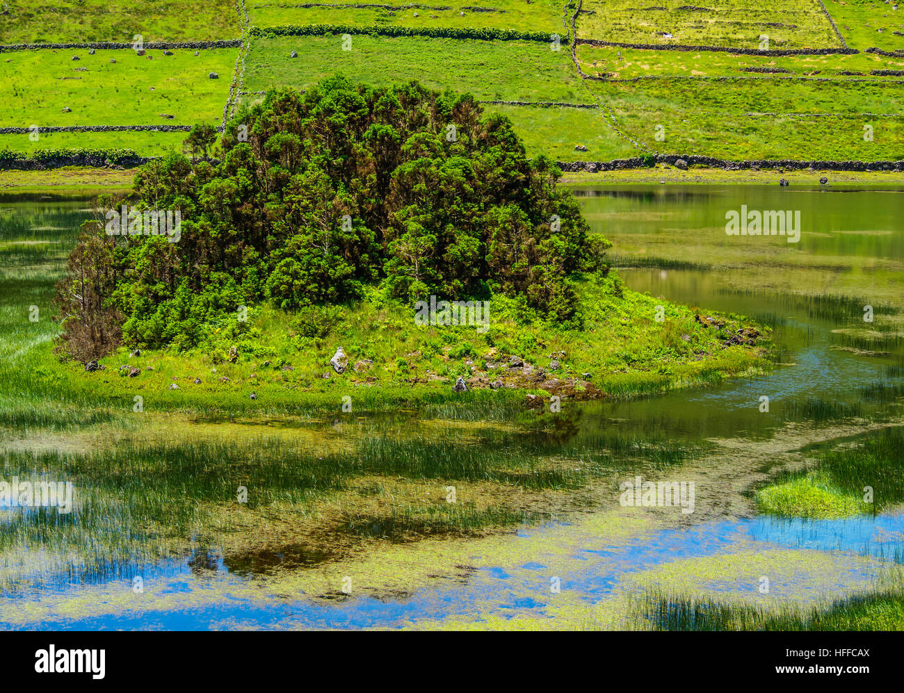 Portugal, Azores, Corvo, Landscape of the Caldeirao do Corvo Stock ...