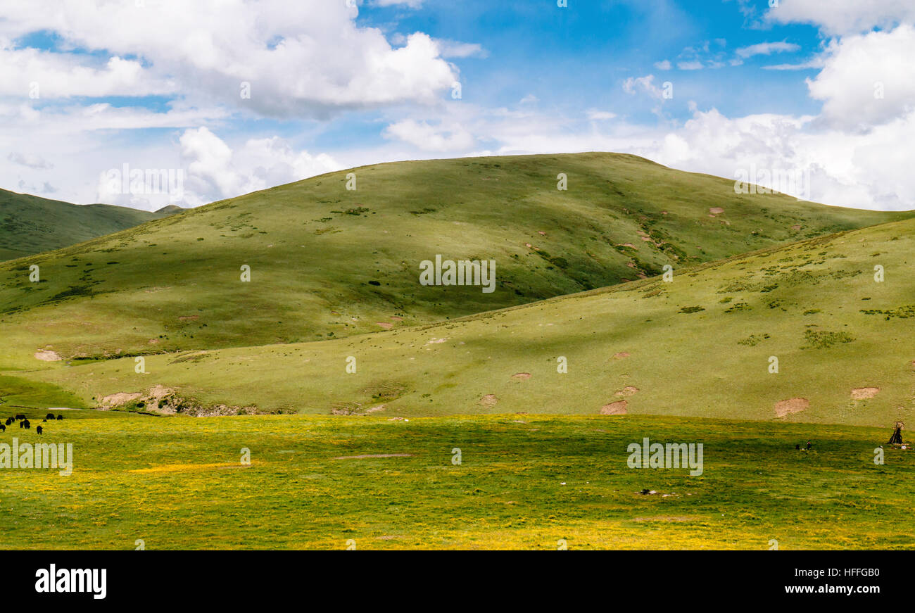 Ganzi Prefecture, Sichuan province, China - Beautiful landscape of ...