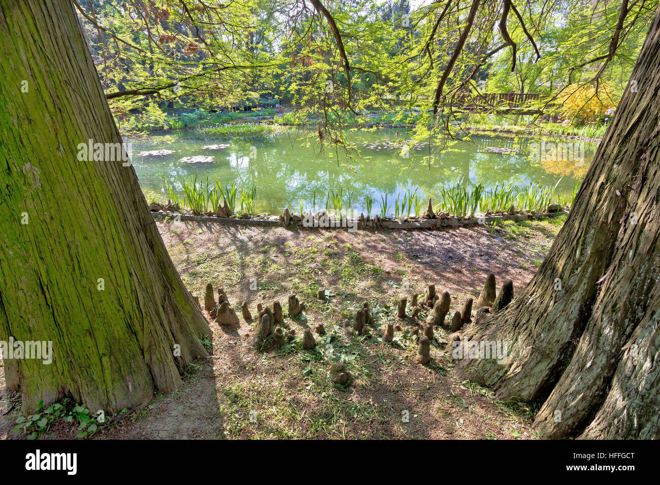 Plants, trees and lake of Zagreb botanical garden, capital of Croatia ...