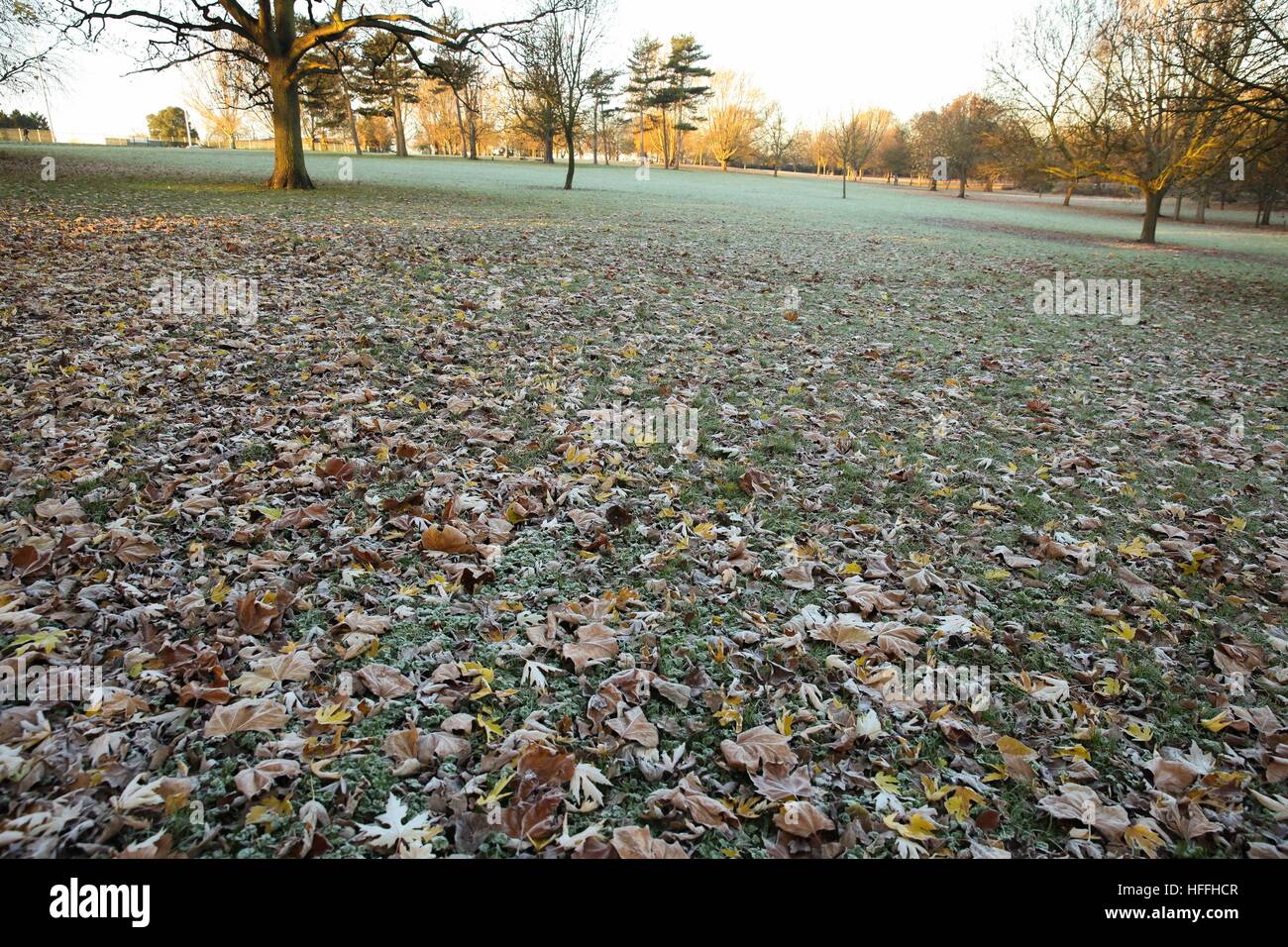 A very cold and frosty morning in Finsbury Park, North London. The ...