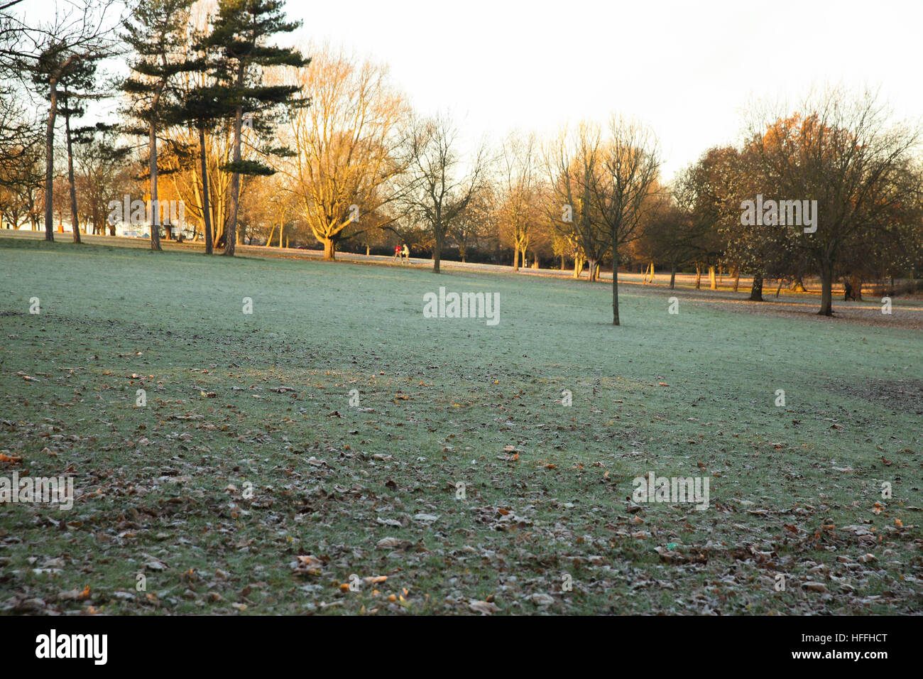 A very cold and frosty morning in Finsbury Park, North London. The ...