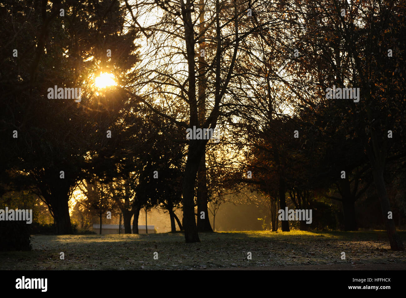 A very cold and frosty morning in Finsbury Park, North London. The ...
