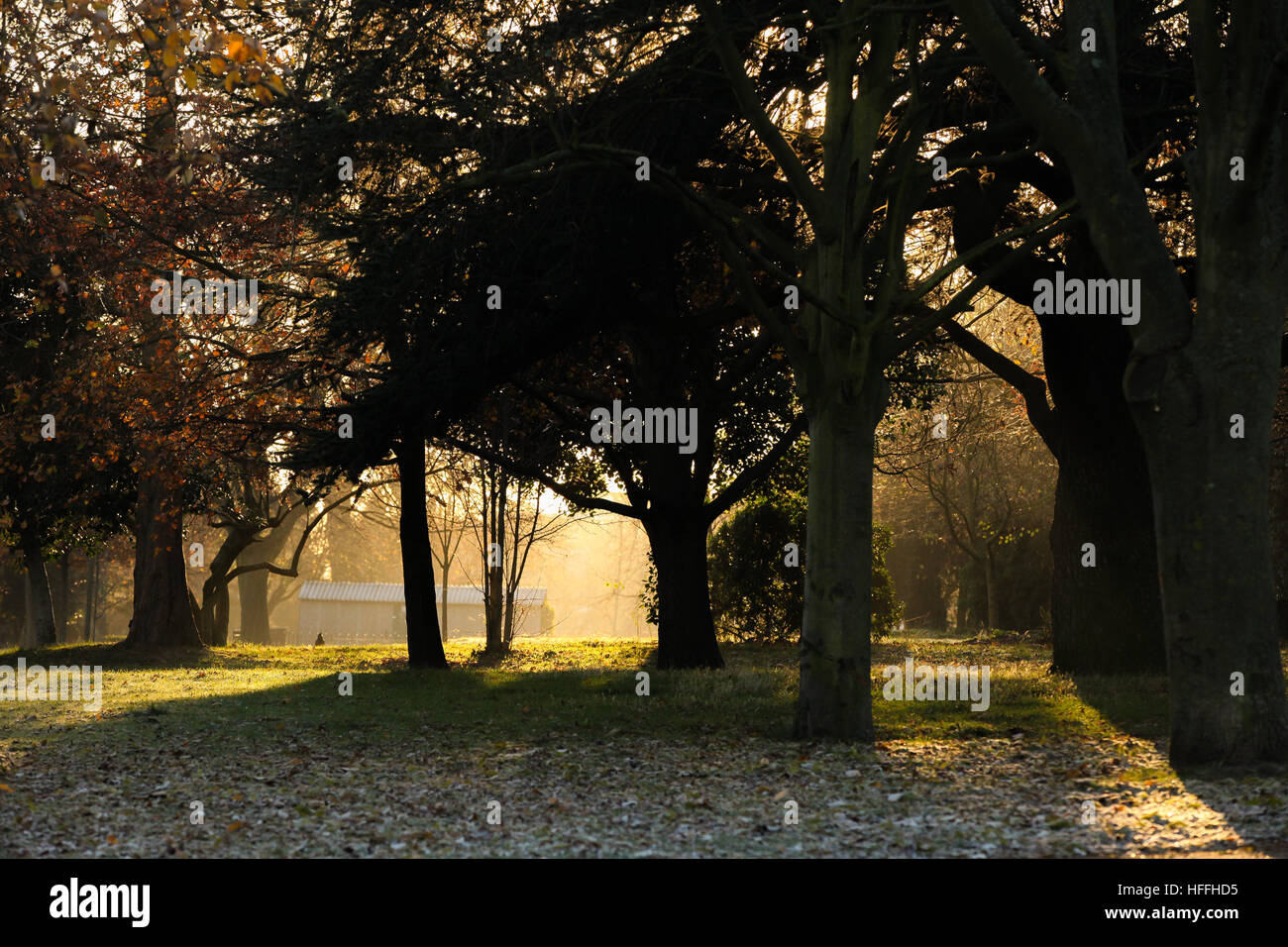 A very cold and frosty morning in Finsbury Park, North London. The ...
