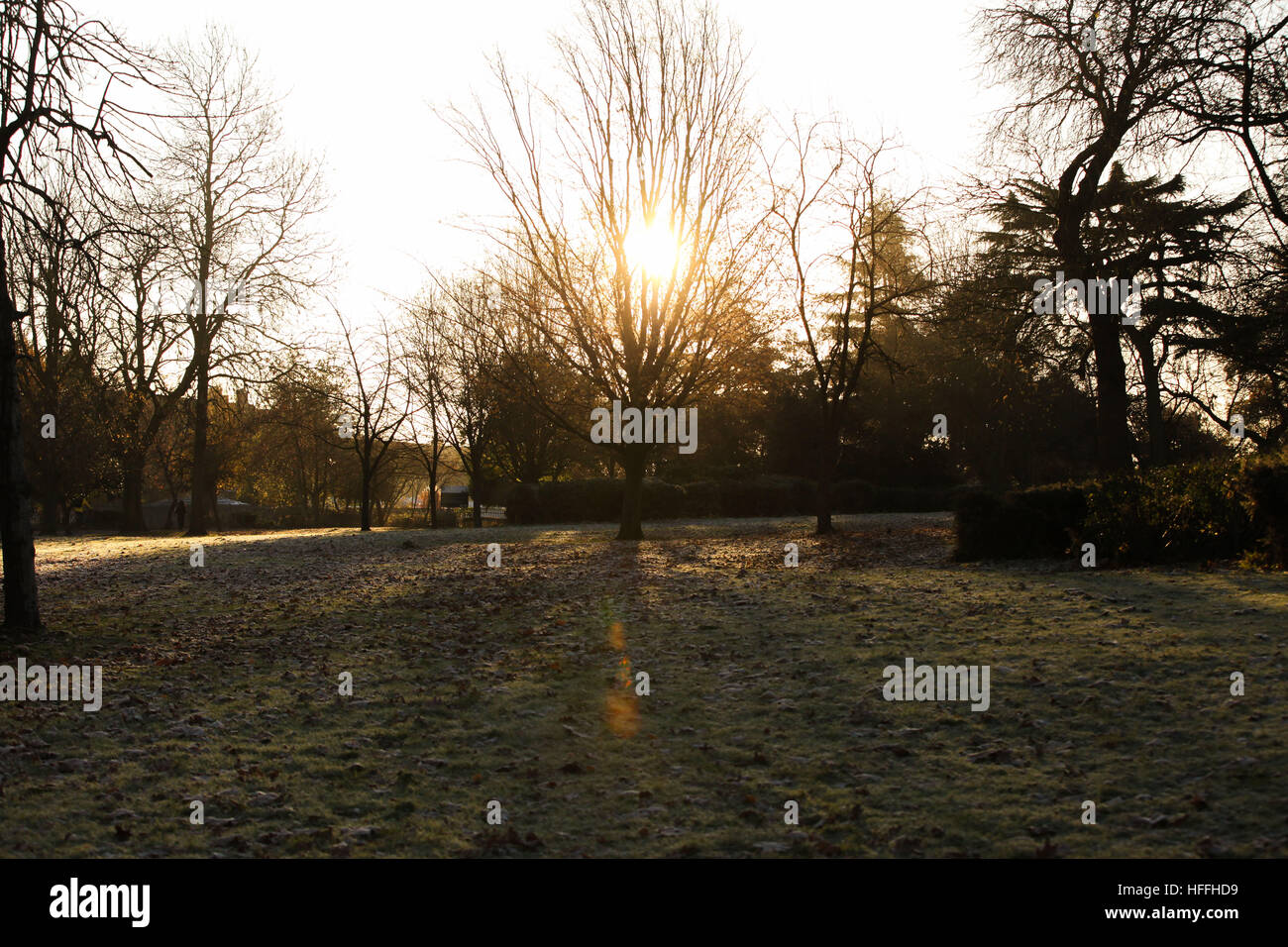 A very cold and frosty morning in Finsbury Park, North London. The ...