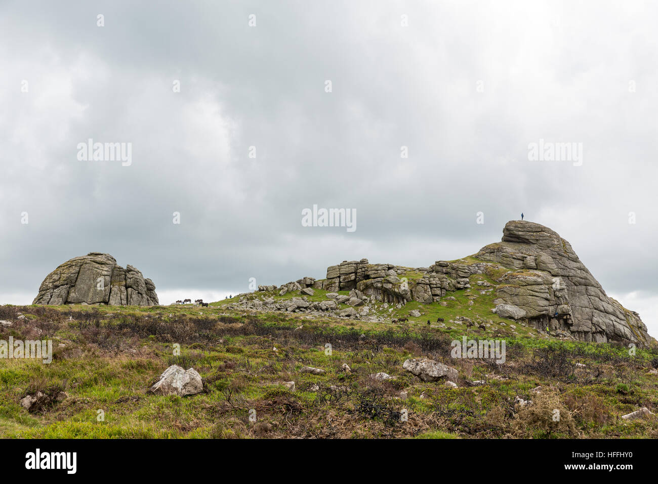 Haytor Rock, Dartmoor Park, Devon, UK Stock Photo - Alamy