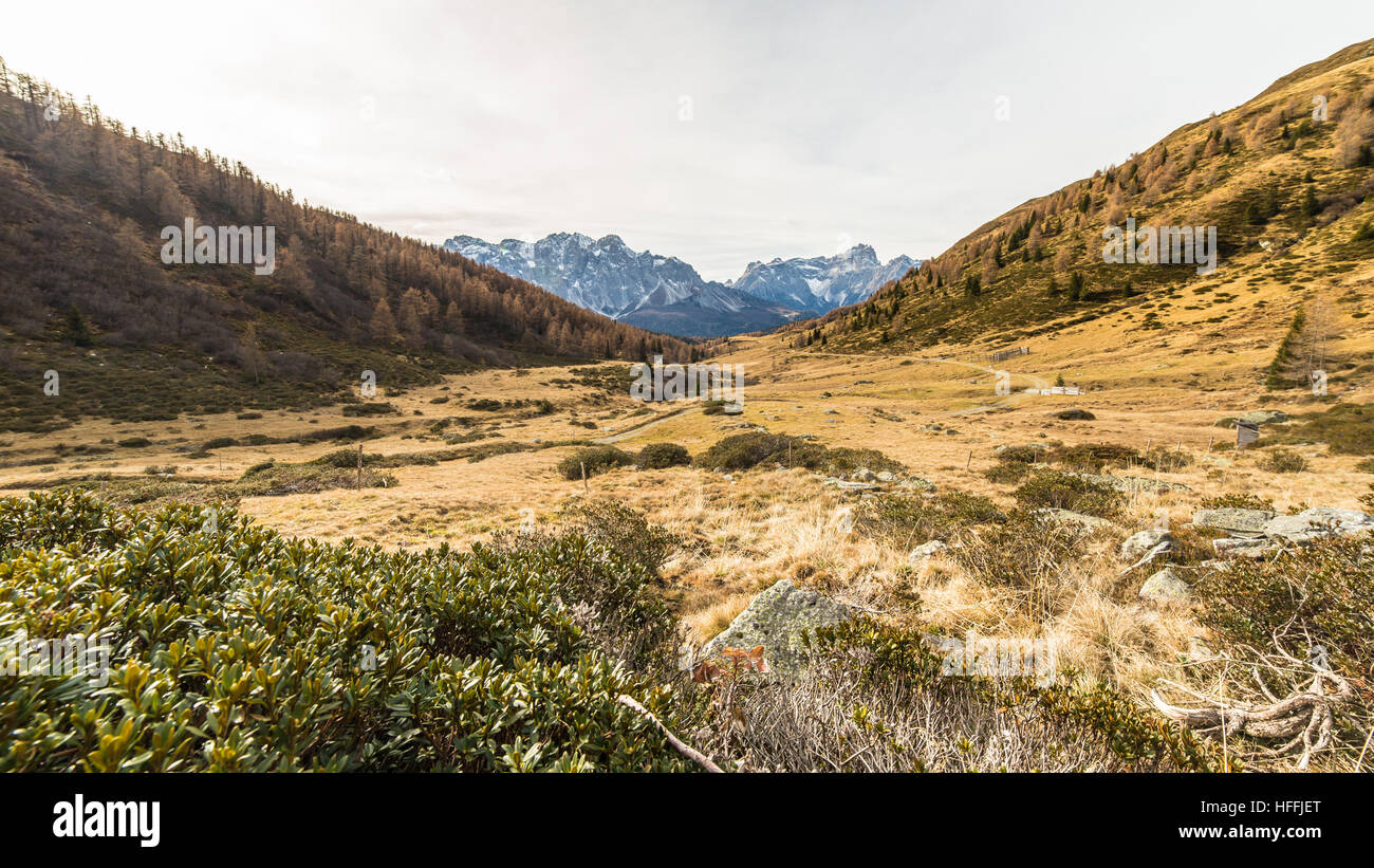 Fall is coming in the italian alps Stock Photo - Alamy