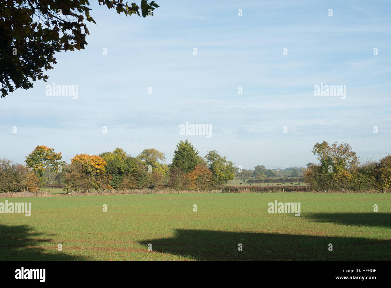 Middleton Cheney Open Gardens at Lucinda Mccathie blog