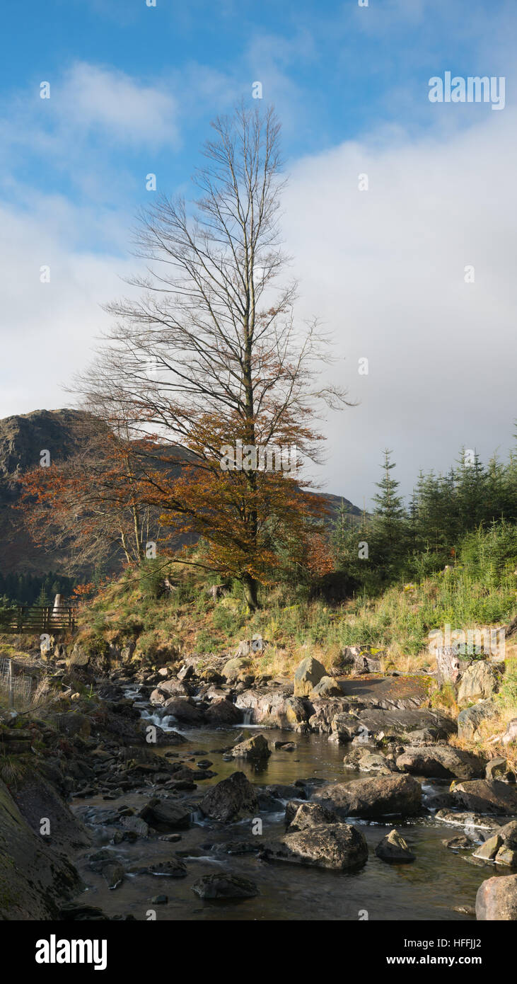 Wythburn fells hi-res stock photography and images - Alamy