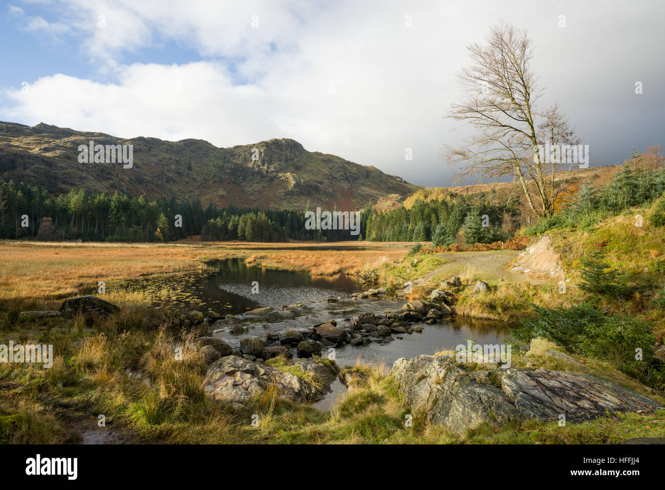 A view towards Harrop Tarn with Tarn Crags behind, near Thrilmere ...
