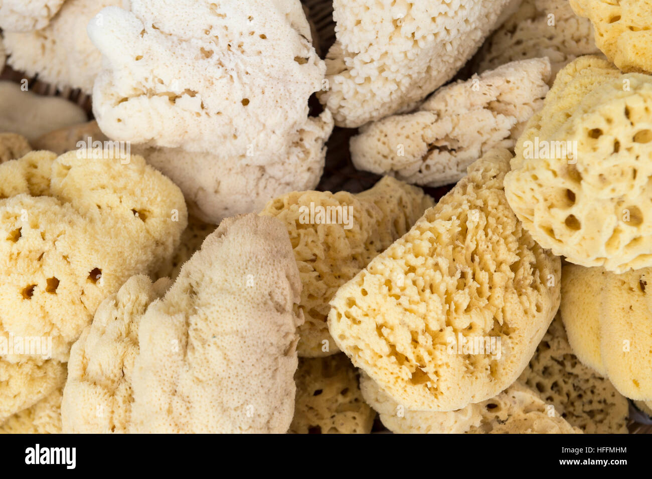 Pile of natural sea sponges on display in Bodrum, Turkey Stock Photo ...