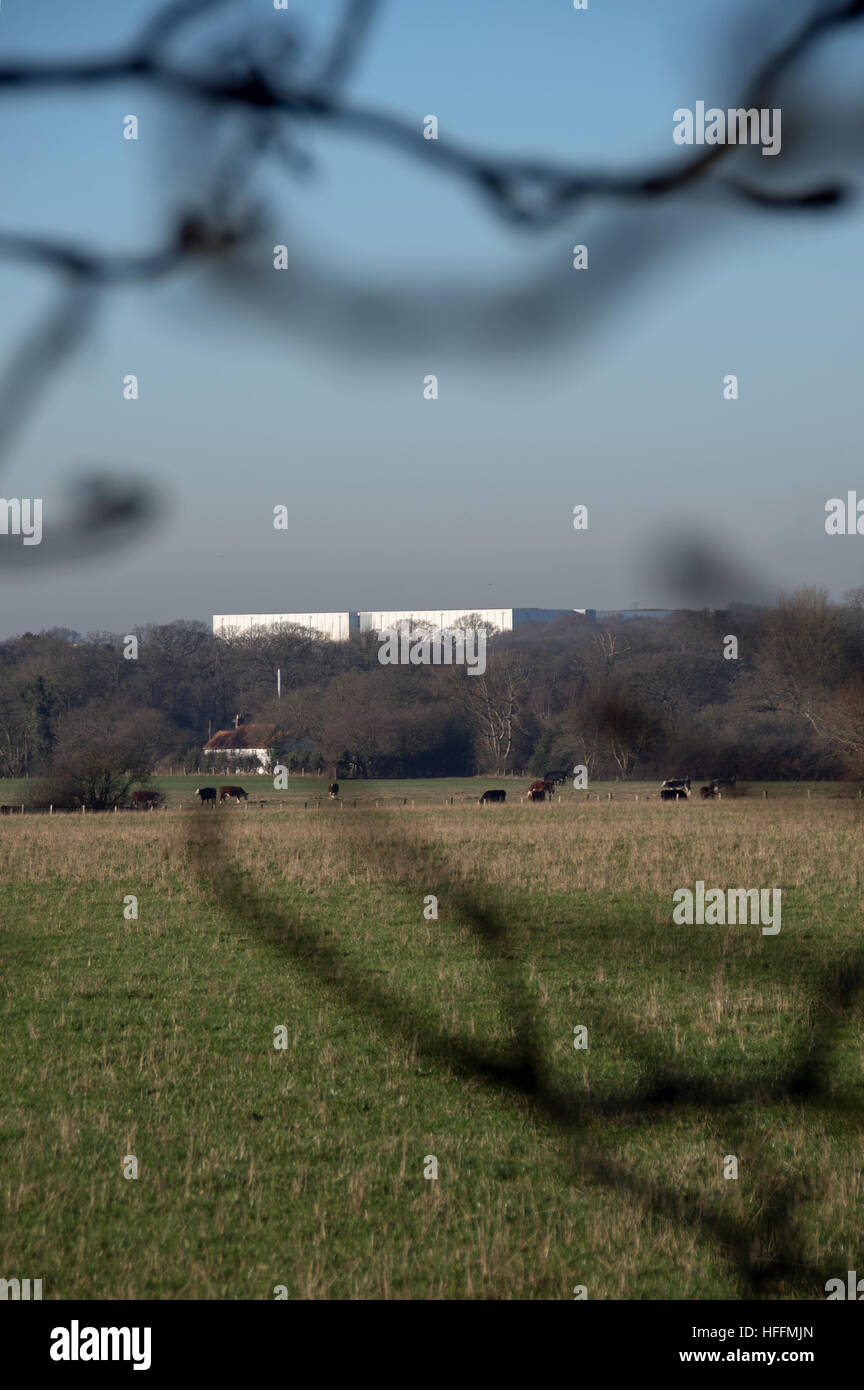 Carbuncles High Resolution Stock Photography and Images - Alamy