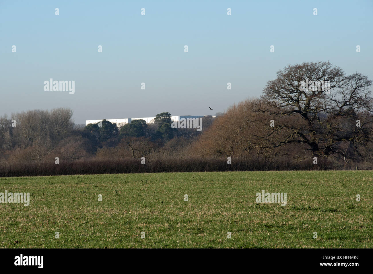 Carbuncles High Resolution Stock Photography and Images - Alamy