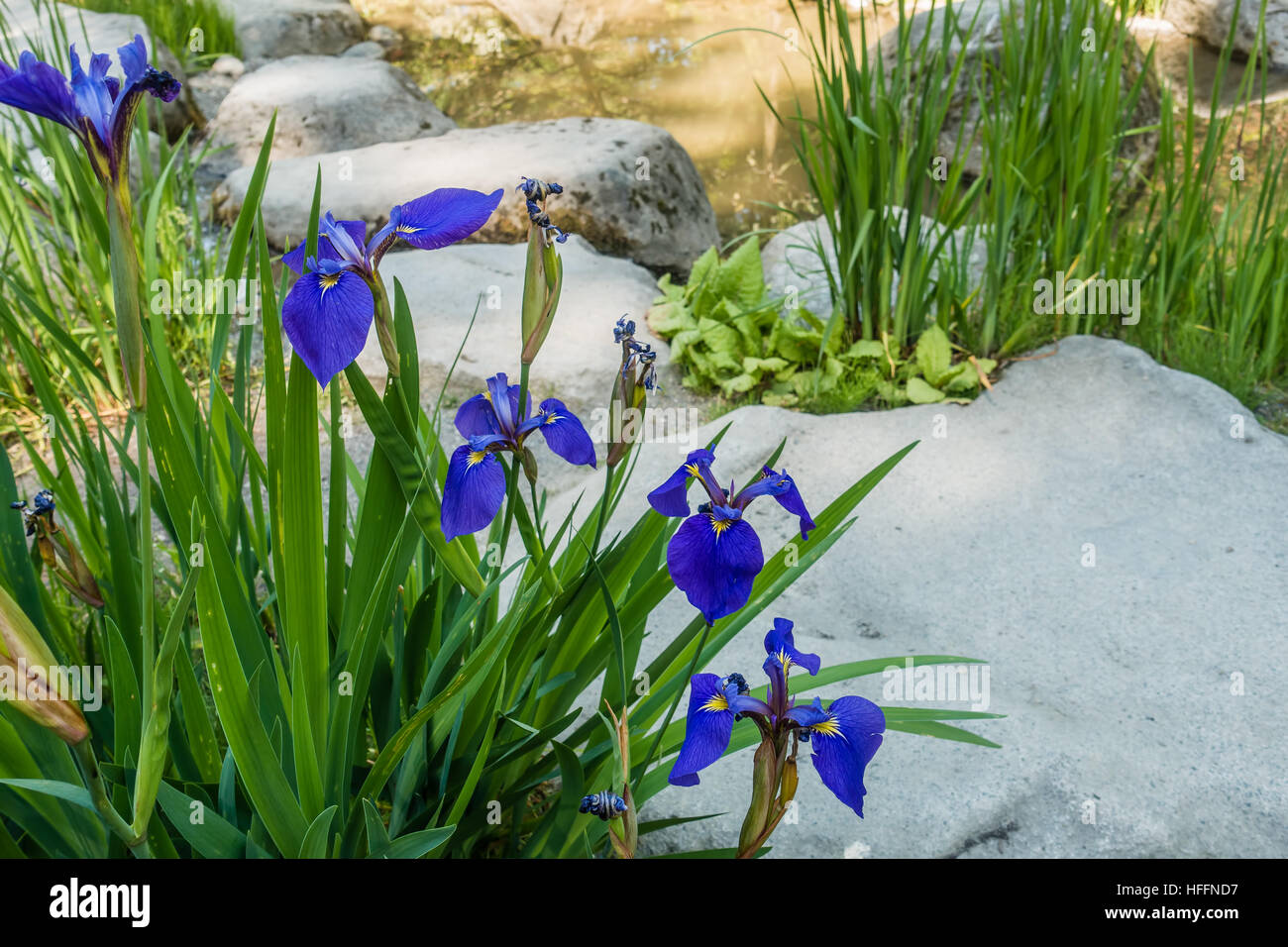 Large boulders in front hi-res stock photography and images - Alamy