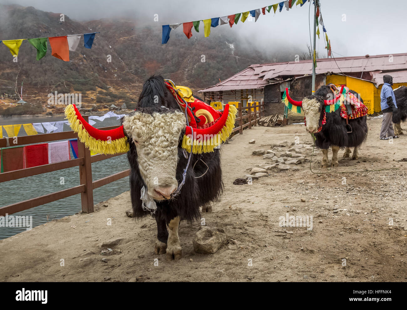 Changu lake sikkim hi-res stock photography and images - Alamy