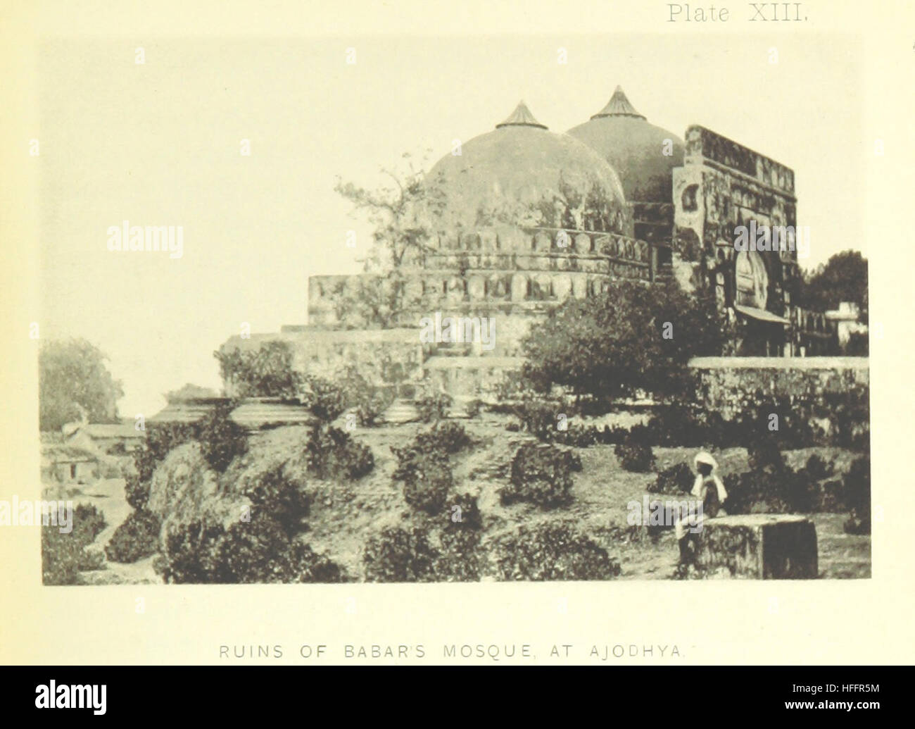 The book examines India's historical, social, and political landscape ...