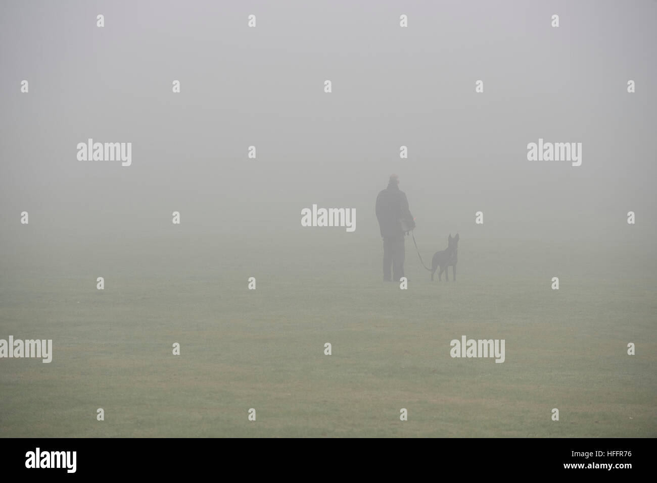 Spooked dog hi-res stock photography and images - Alamy