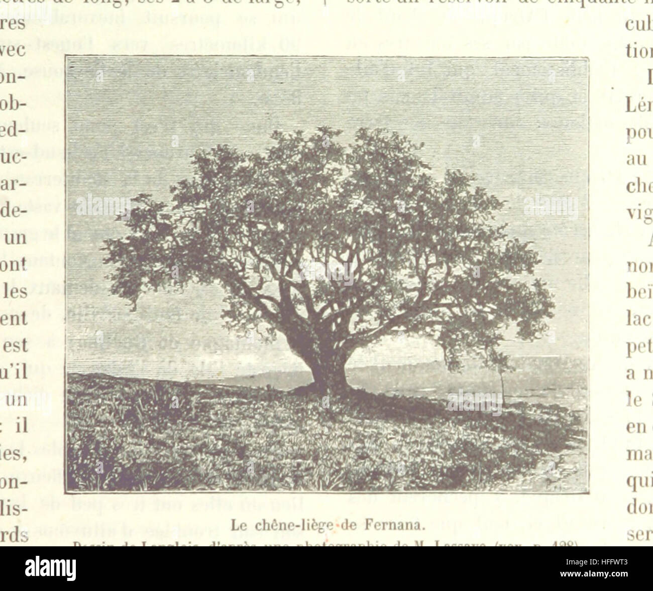 This illustration from 'La France et les Colonies' depicts various ...