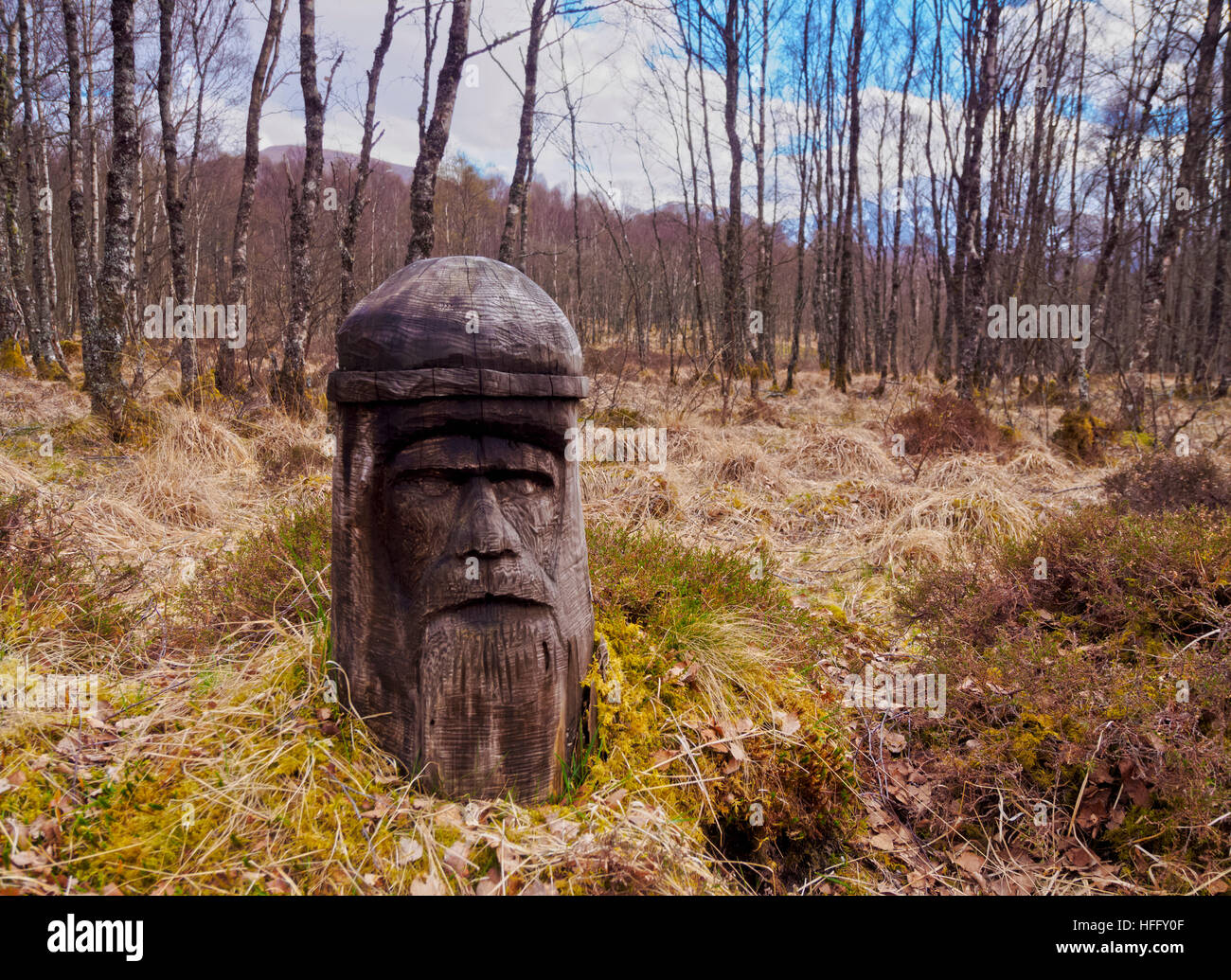 UK, Scotland, Highlands, Forest of the Roy Bridge Stock Photo - Alamy