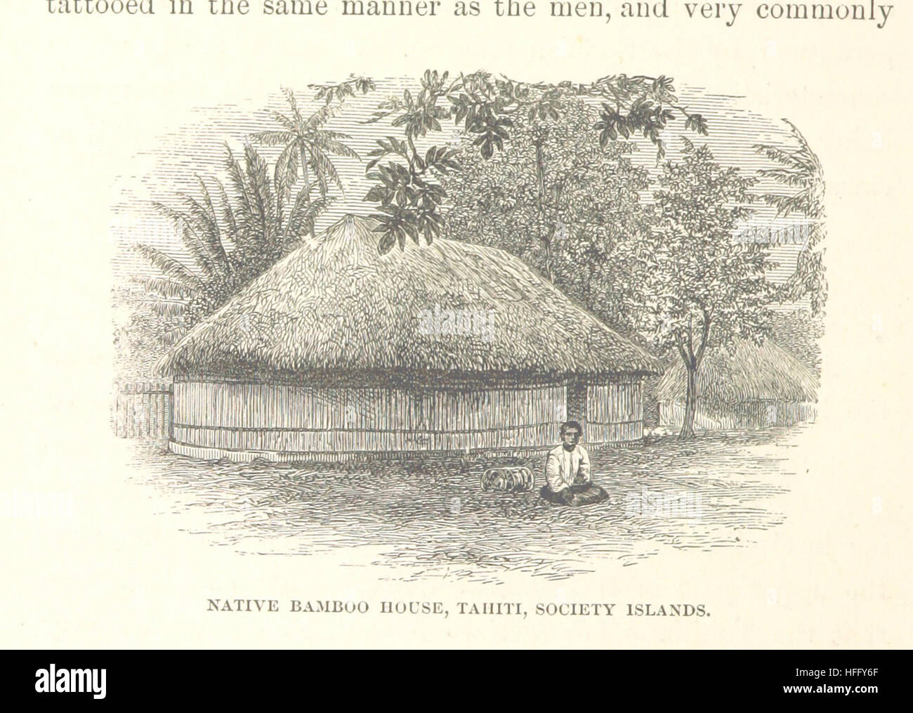 Image from page 144 of 'What Mr. Darwin Saw in His Voyage Round the ...