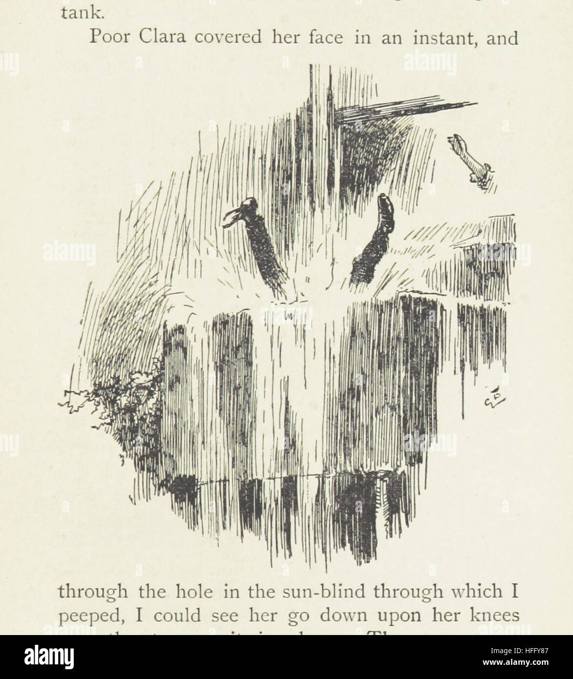 'A Fluttered Dovecote' is a novel by George Manville Fenn, illustrated ...