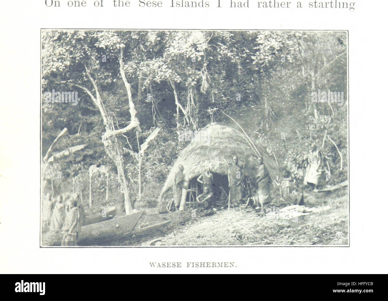 Cannibal tree hi-res stock photography and images - Alamy