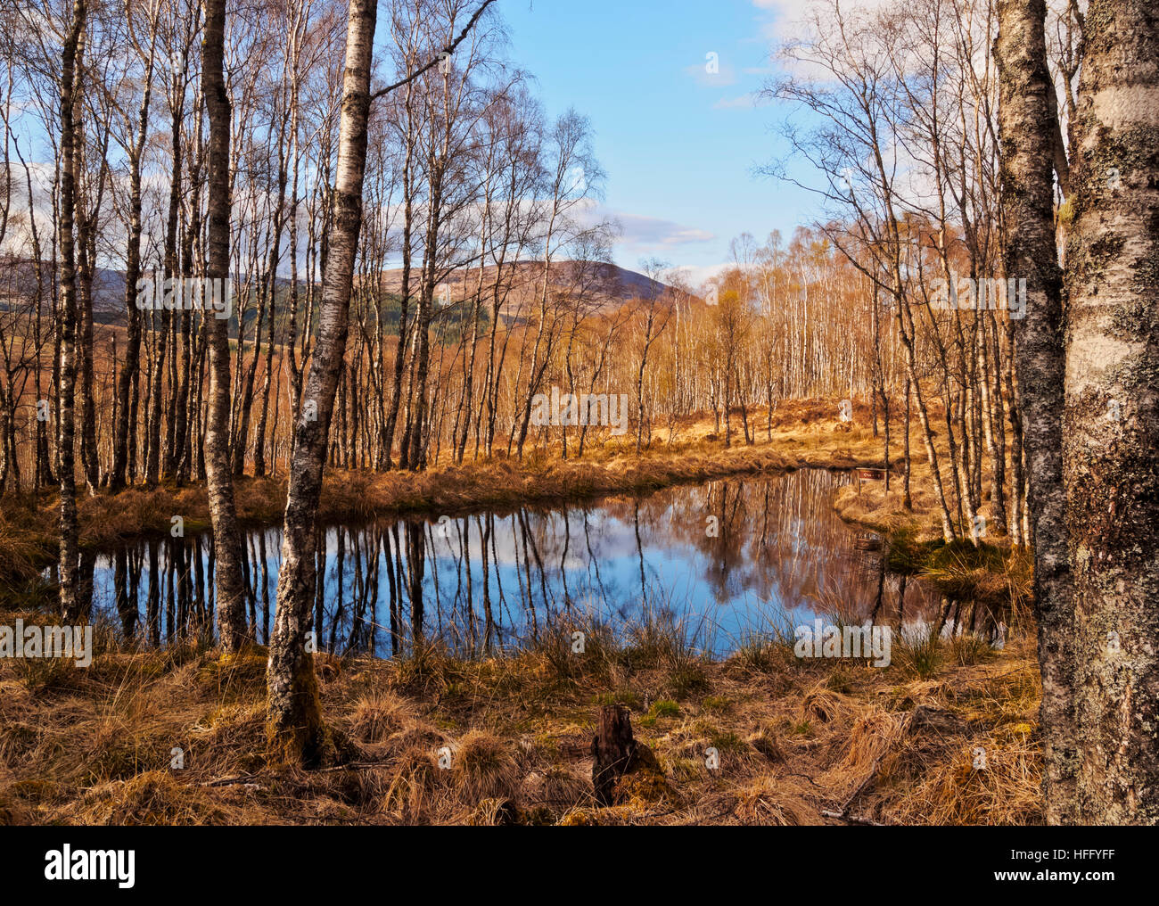 Roybridge High Resolution Stock Photography and Images - Alamy