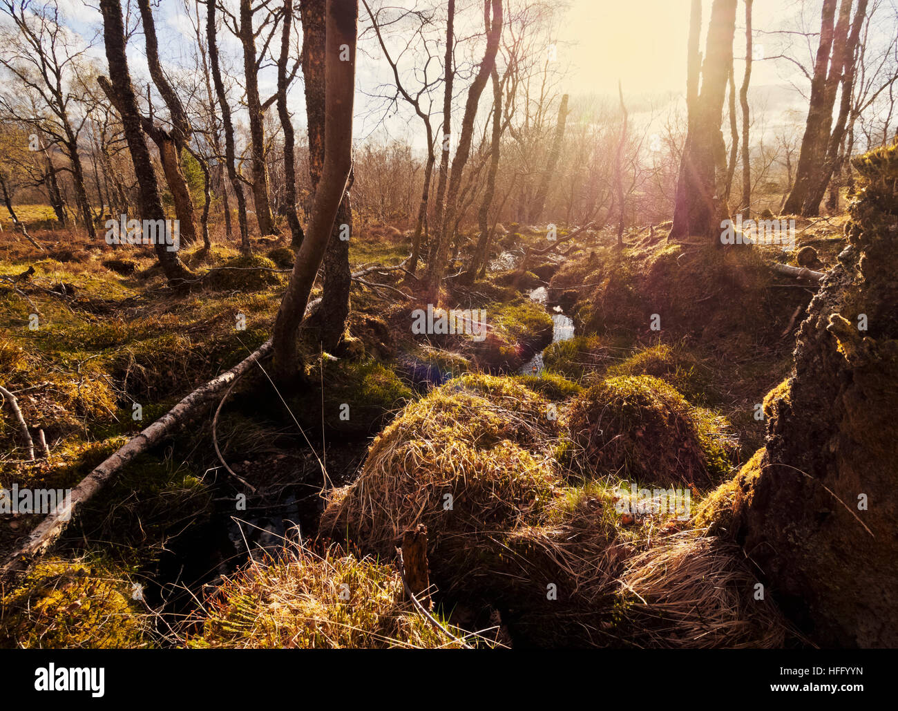 Roybridge High Resolution Stock Photography and Images - Alamy