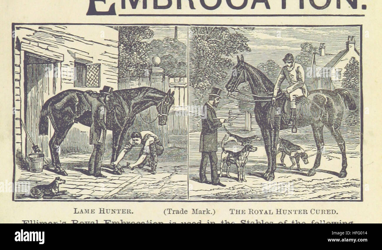 This revised guide provides detailed information about Midhurst and its ...