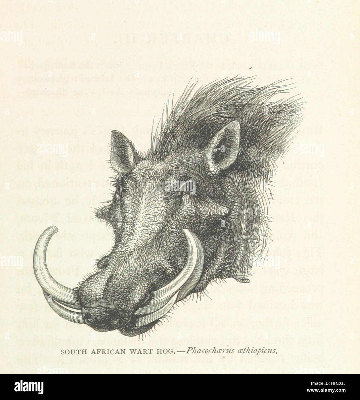 Frank Oates' naturalist exploration of Matabele Land and the Victoria ...