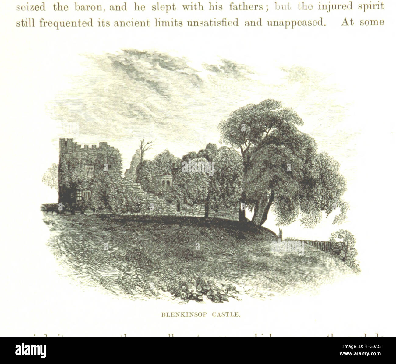 This work provides a detailed description and illustrations of the ...