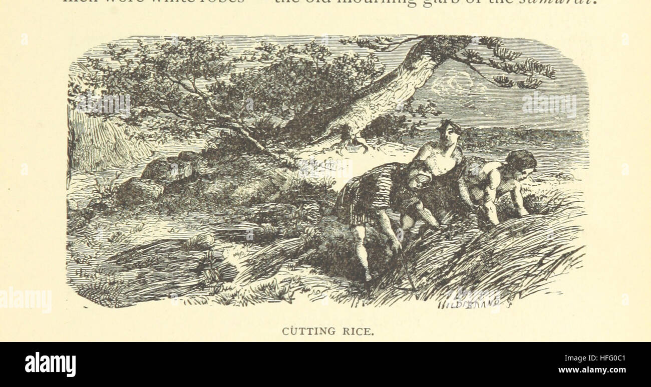 This book recounts the adventures of the Jewett family and their friend ...