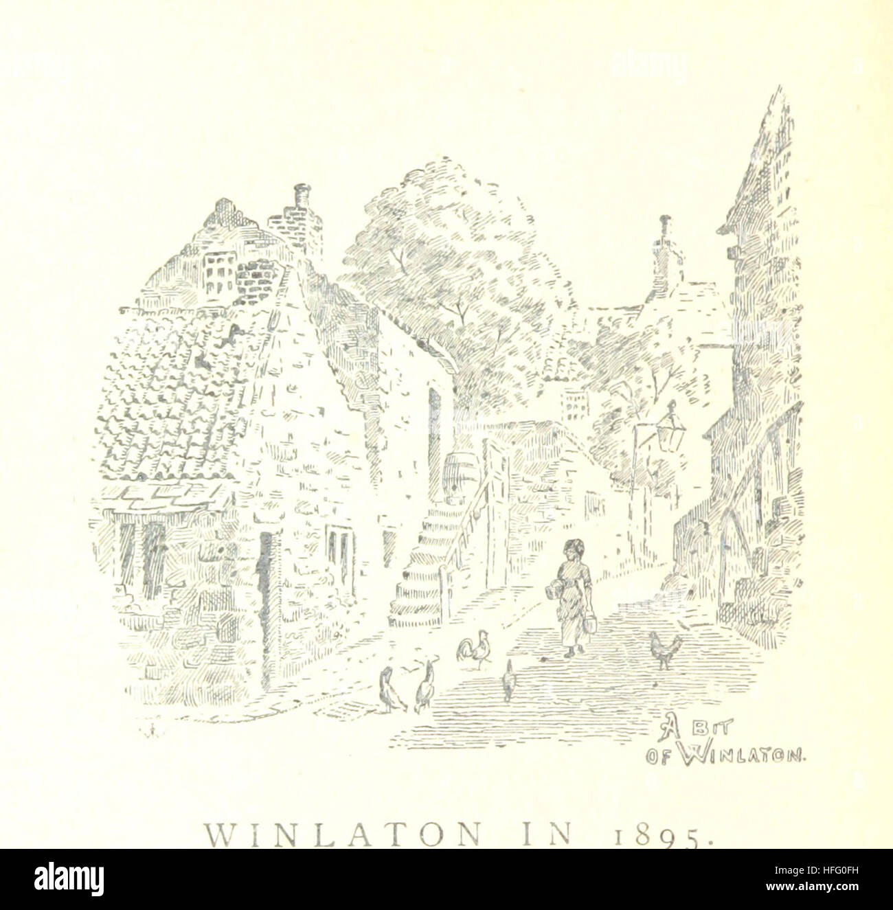 Winlaton hi-res stock photography and images - Alamy