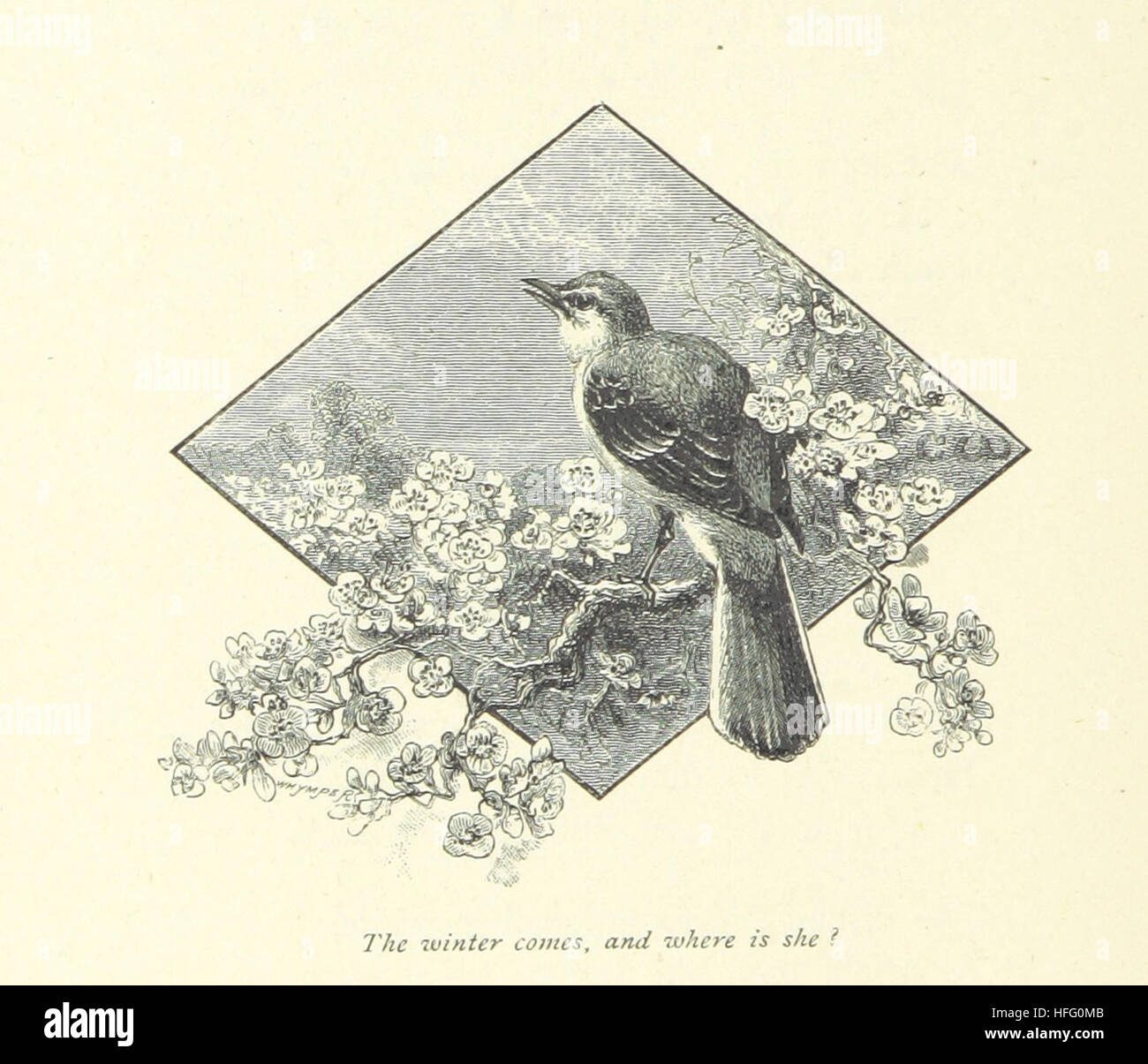 Winter Pictures by poet and artist. [Selections in verse from various ...