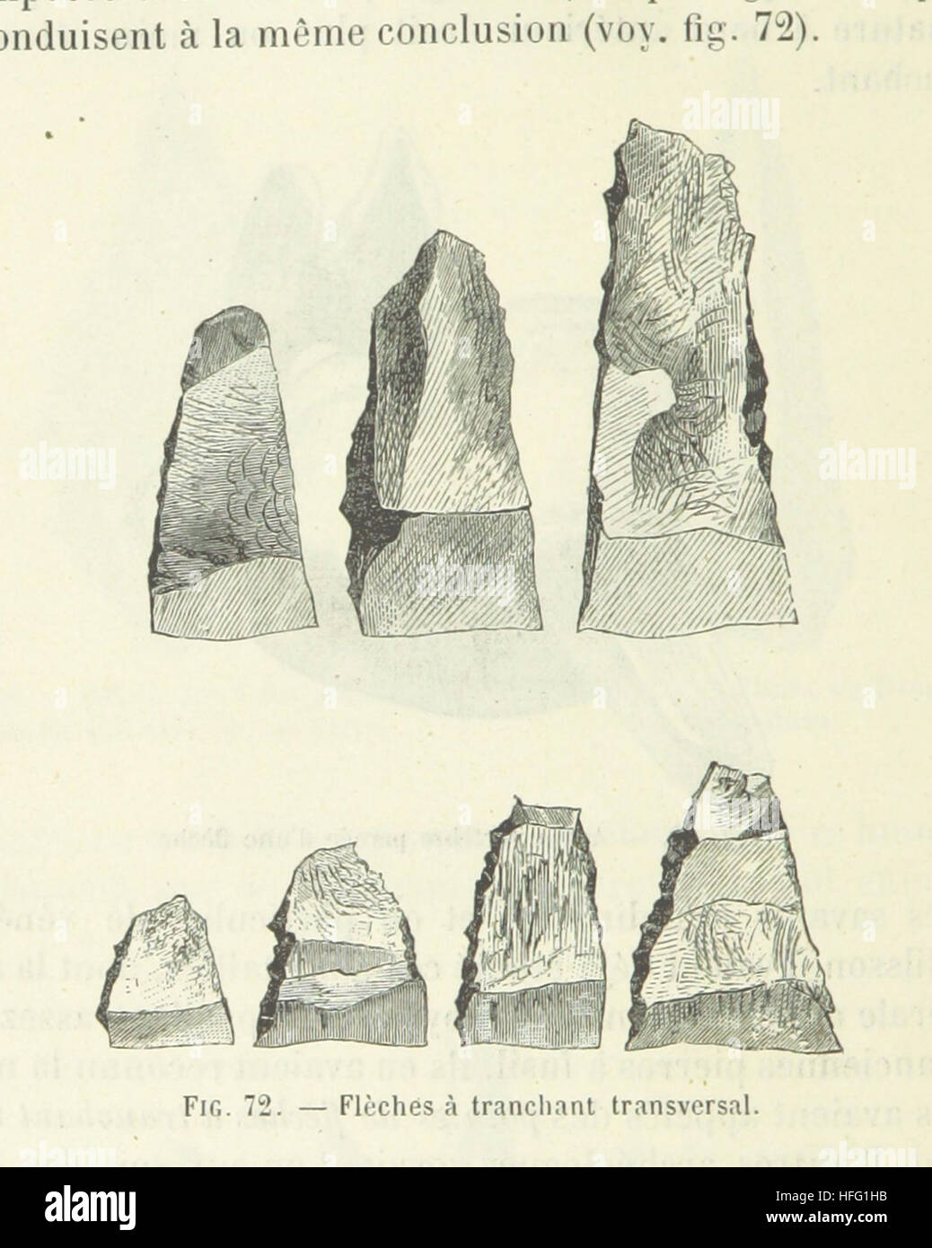 This anthropological work explores fossilized humans and primitive ...