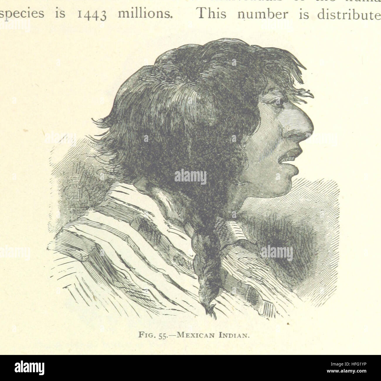 The image is from a work discussing humanity’s origins and evolution ...