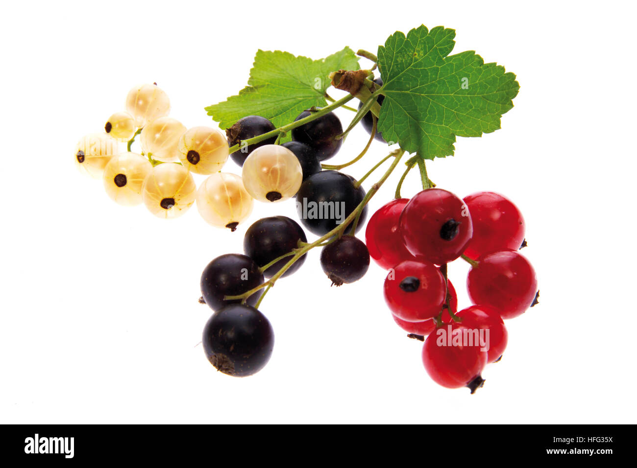 Red black currants in Cut Out Stock Images & Pictures - Alamy